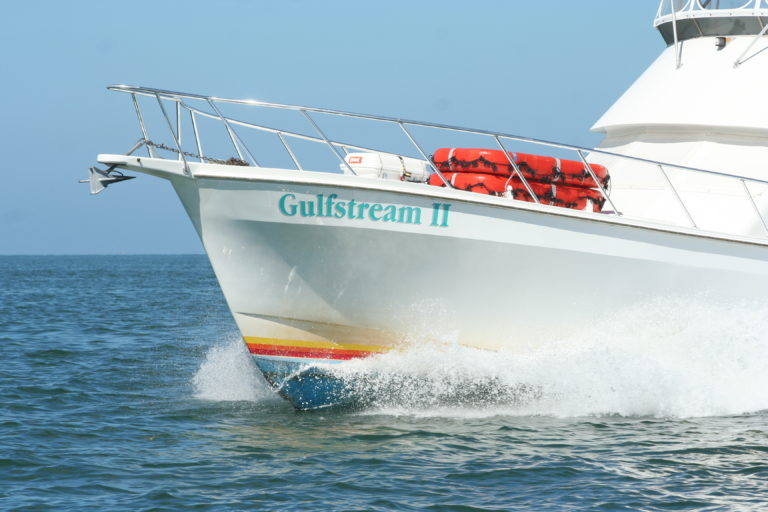 Gulfstream II - Gulfstream Fishing Charters